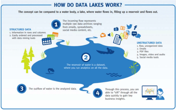 Big data for poultry – what is possible? | Engormix