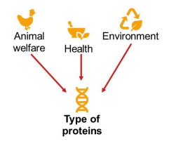 Animal protein and its traditional and emerging substitutes ...