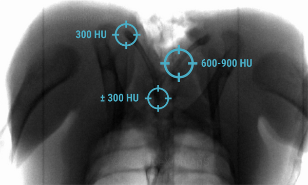 Facts on detection capabilities for X-ray systems based on chicken bone ...