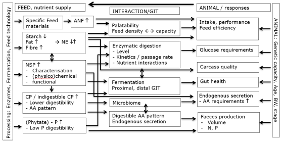 The use of more circular diets in pig production – consequences and ...