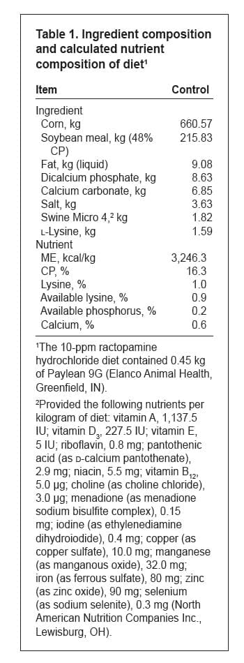 Ractopamine (Paylean) Response in Heavy-Weight Finishing Pigs | Engormix