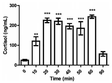 Evaluation of the Cortisol Stress Response in a Marine Perciform Fish ...