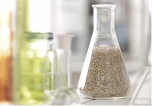 SUCRAM®, the white-gold taste enhancer from PANCOSMA | Engormix