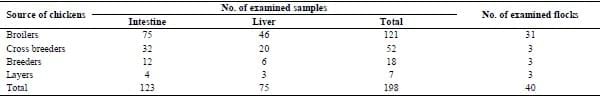 Clinical and laboratory studies on chicken Isolates of Clostridium ...