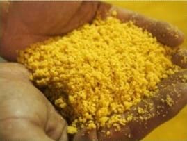 Using Dry Extruded Whole Soybeans (“Extruded Full-Fat”) in Formulations | Engormix