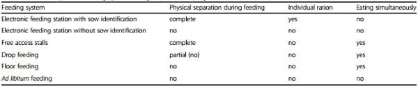 Impact of group housing of pregnant sows on health - Engormix