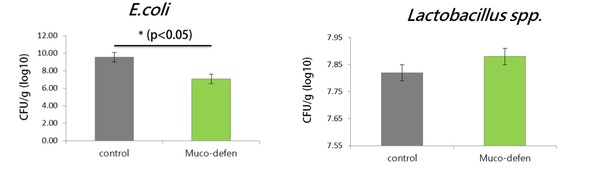 Field trial of Muco-defen in a Sow’s farm | Engormix