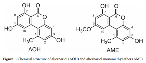 The Alternaria alternata Mycotoxin Alternariol Suppresses ...