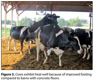 Compost Bedded Pack Barn Design. Features and Management Considerations ...