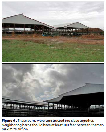 Compost Bedded Pack Barn Design. Features and Management Considerations ...