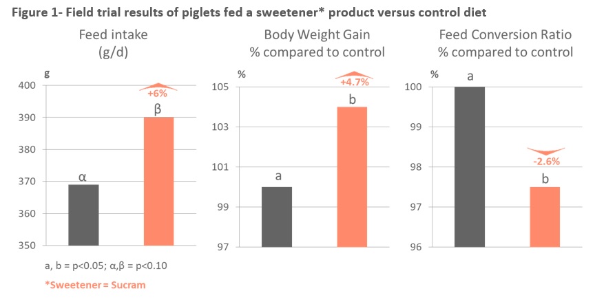 Taste enhancers optimizing performance on piglets through the gut ...