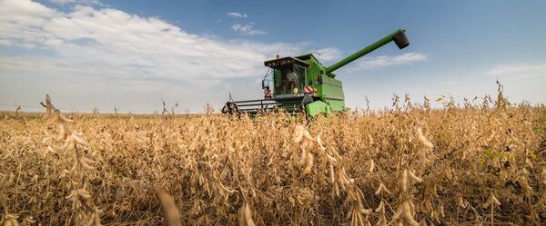 Sustainability: Saving Land. When Less is more | Engormix