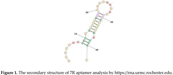 Aptamer-Based QCM-Sensor for Rapid Detection of PRRS Virus | Engormix