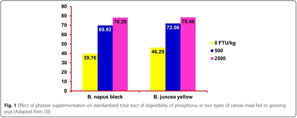 Recent advances in canola meal utilization in swine nutrition | Engormix