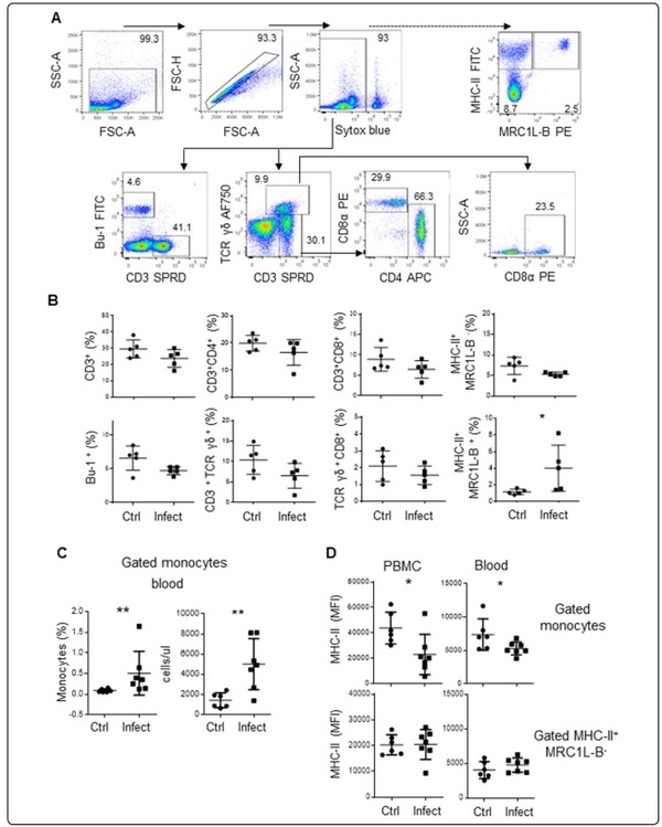 A transient increase in MHC-II low monocytes after experimental ...