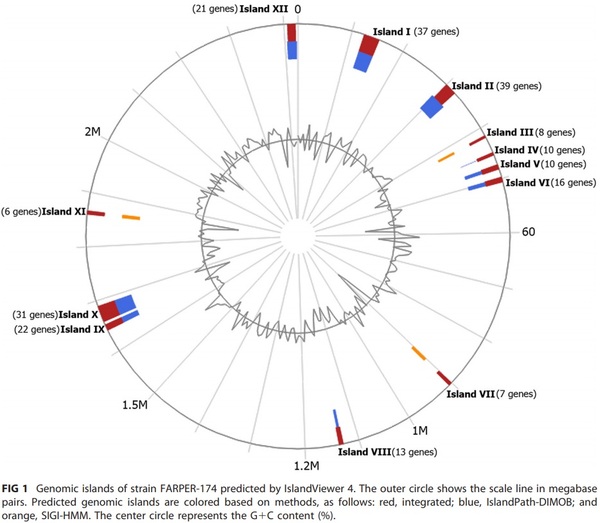 Genomic Islands in the Full-Genome Sequence of an NAD-Hemin-Independent ...