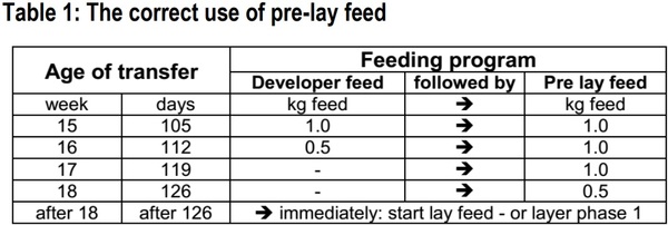 How to Feed Layers Until 100 Weeks? – A Practical Approach | Engormix