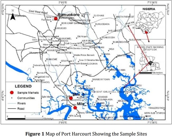 Investigation of heavy metal levels of clams (Egeria radiata) sold in ...