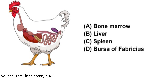 Nutritional requirements of modern broilers | Engormix