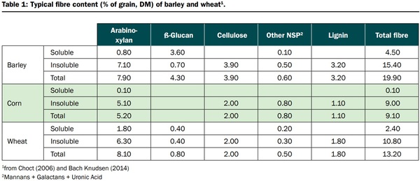 Australian barley for layers: value and opportunity | Engormix