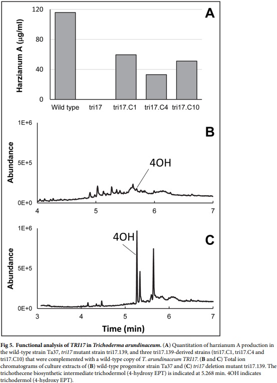 Evolution of structural diversity of trichothecenes, a family of toxins ...