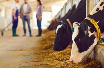 A better feed efficiency will drive sustainability | Engormix