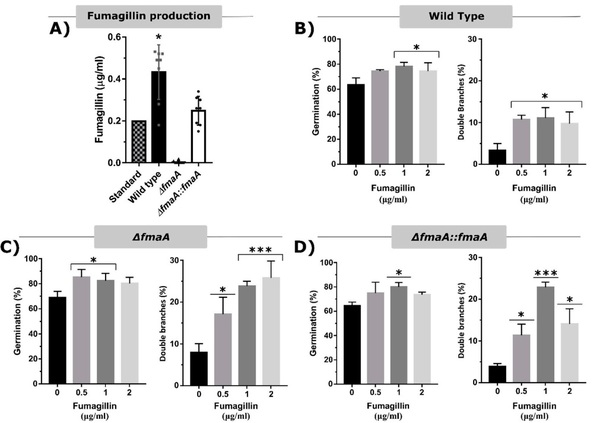 Aspergillus fumigatus Fumagillin Contributes to Host Cell Damage | Engormix