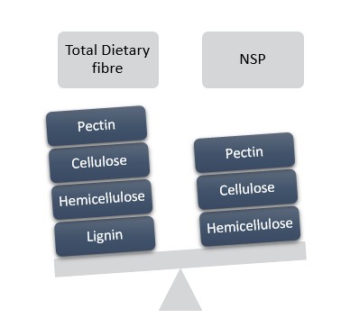 “NSP Enzymes” Securing the future | Engormix