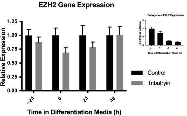 Tributyrin, a Butyrate Pro-Drug, Primes Satellite Cells for ...