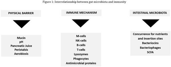 Chicken gut microbiota: a brief understanding of the dynamics and ...