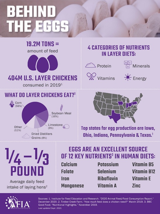 No, There Isn't a Conspiracy Around Chicken Feed and Reduced Egg Production | Engormix