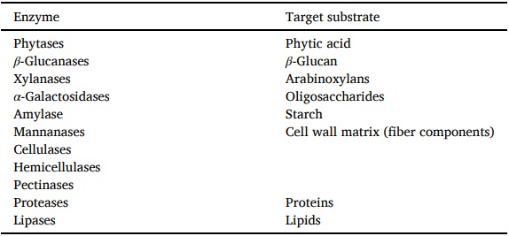 A systematic-review on the role of exogenous enzymes on the productive ...