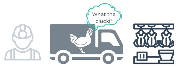 Tryptophan: The link between poultry welfare & nutrition - Engormix