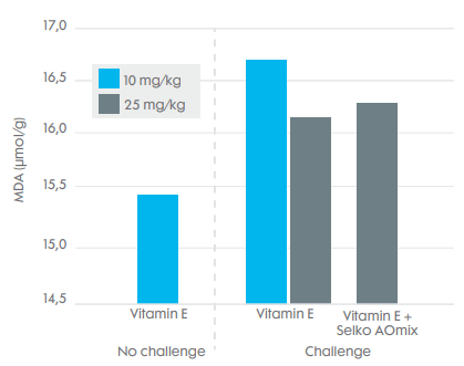 Selko® AOmix supports the antioxidant status of broilers under ...