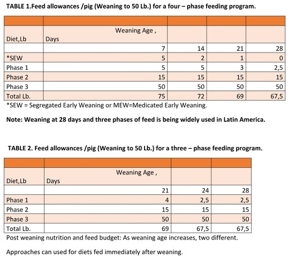 Rations for Early Weaned Pig - Engormix