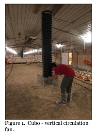 Vertical Vs. Horizontal Circulation Fan Systems | Engormix