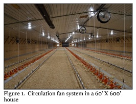 Basic Circulation Fan System Design | Engormix