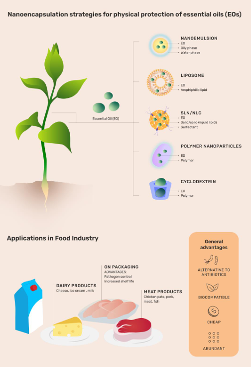 Essential Oil-Based Nanoparticles as Antimicrobial Agents in the Food ...