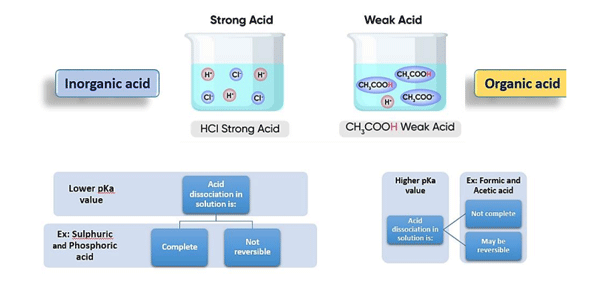 Why is Acidification needed? | Engormix