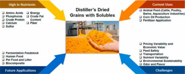 Methods and Implications for DDGS Production | Engormix