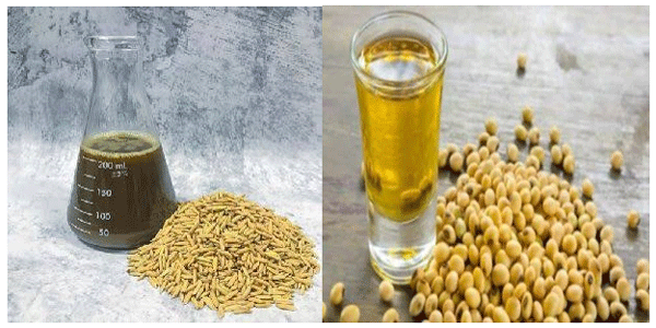 Optimizing Fat Incorporation in Broiler Feed: A Cost-Effective and ...