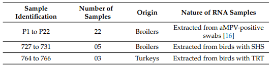 Revisiting Avian Metapneumovirus Subtype B in Broiler Chickens and ...