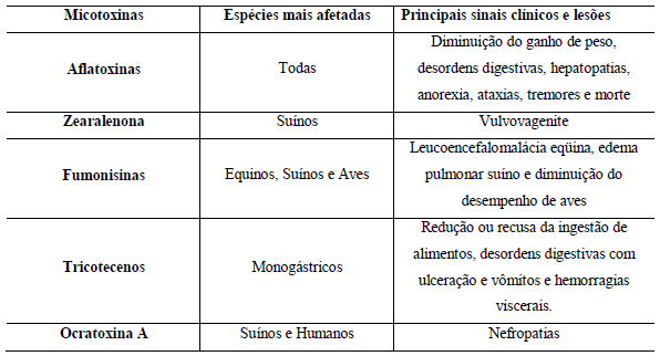 Micotoxicoses Suíno MIcotoxinas | Engormix