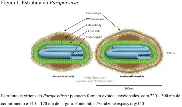 Parapoxvirus Der Hrnchen