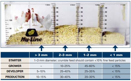 Feed Granulometry and the Importance of Feed Particle Size in Layers ...