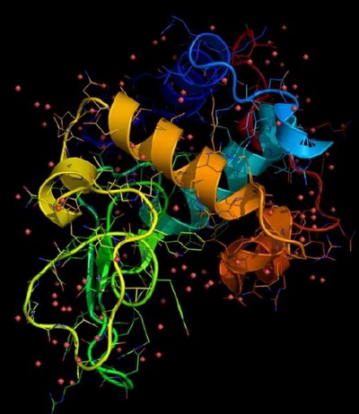 Uso de Lisozima como promotor de crecimiento | Engormix