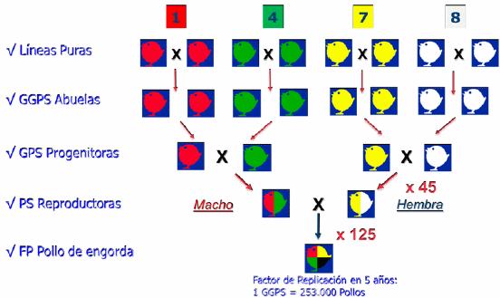 Manejo de Reproductores | Engormix