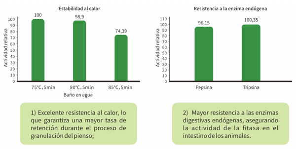 Sunphase HT, una fitasa microbiana termoestable | Engormix