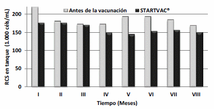 Experiencia de campo con STARTVAC® para el control de Staphylococcus ...