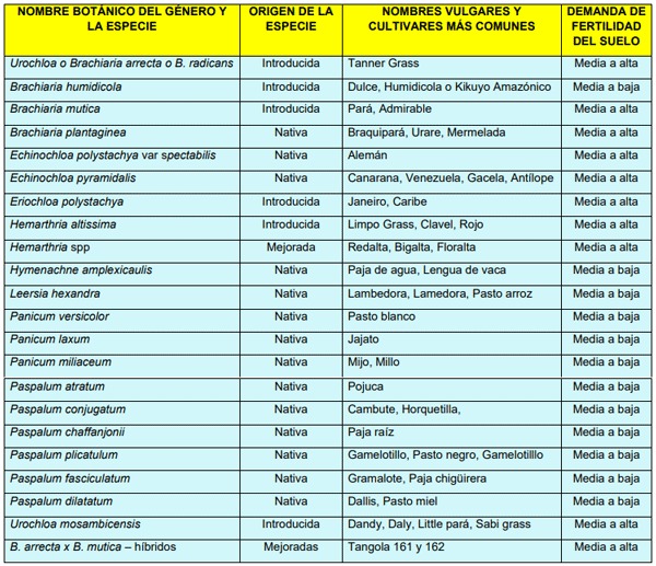 Capítulo I: principales especies forrajeras y maderables tropicales - Engormix